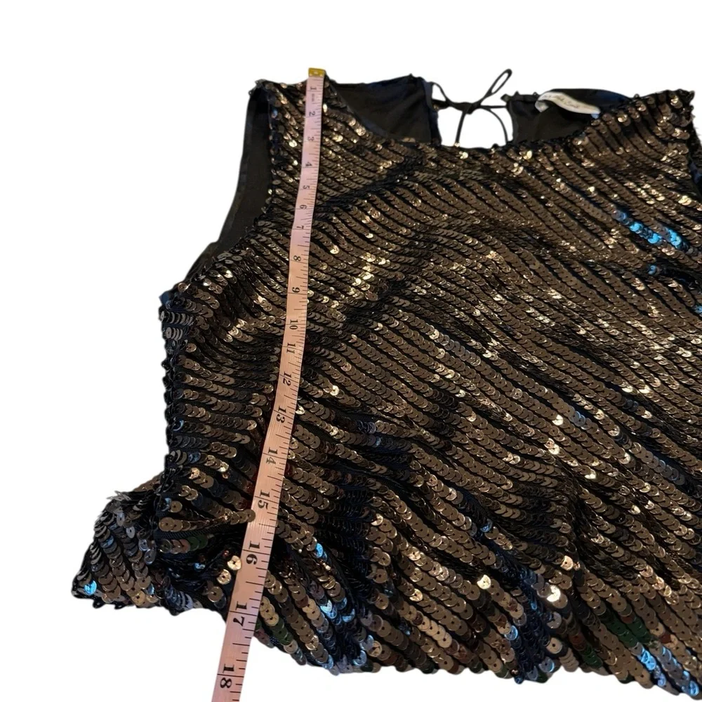 Mustard Seed | Tops | Bronze Sequin Jewel Neck Bubble Hem Open Tie Back ...